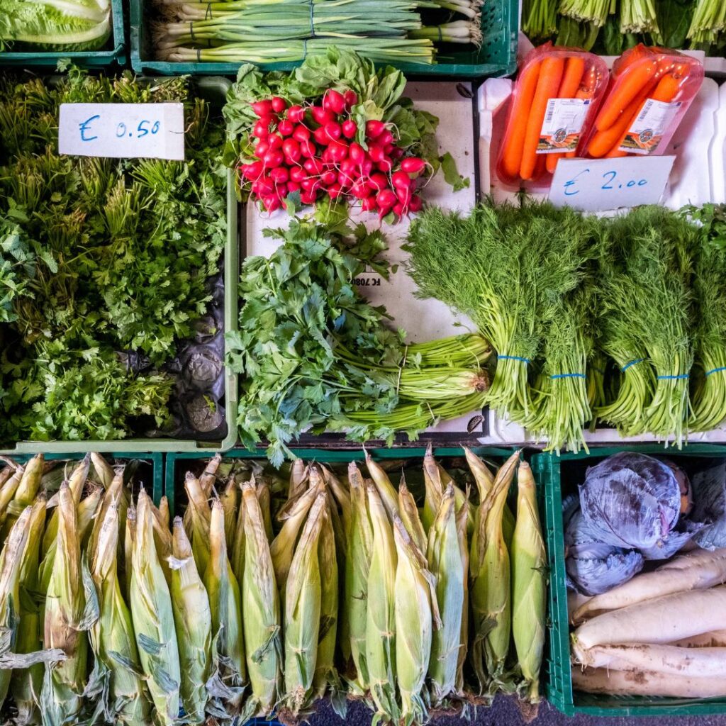 Besucherinformation über De Bazaar